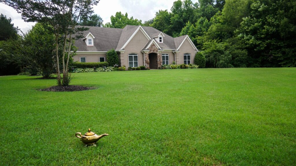 Foxtail Grass: What it Looks Like and How to Get Rid of It - Master Lawn