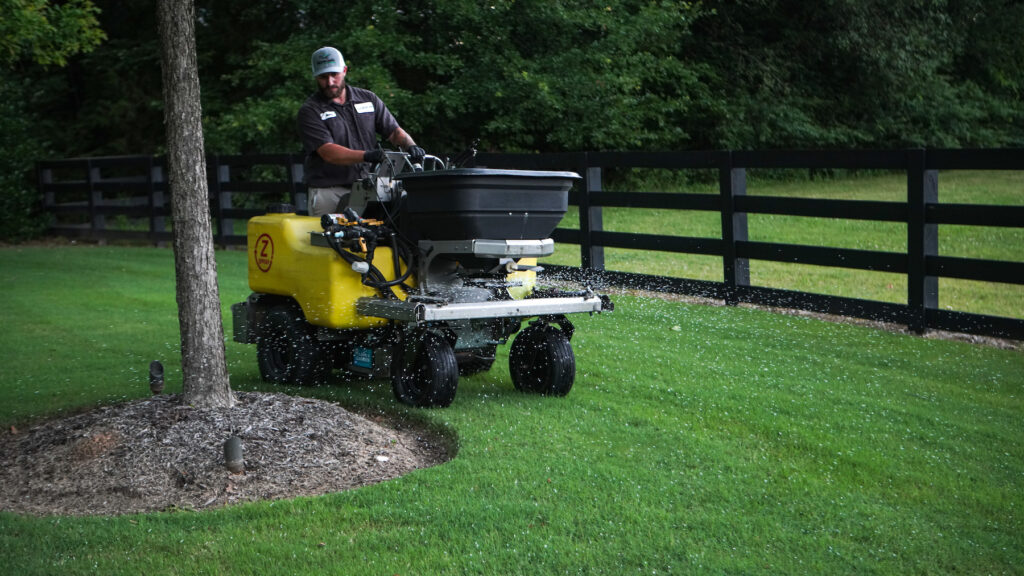 Foxtail Grass: What it Looks Like and How to Get Rid of It - Master Lawn