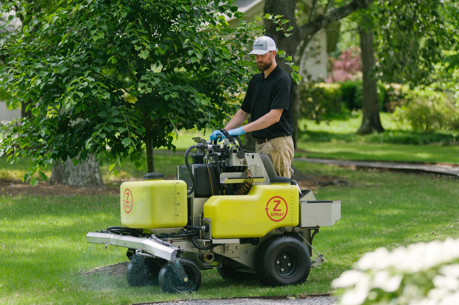 Safari Lawn Care vs. Master Lawn: Comparing 2 Options for Memphis, TN ...